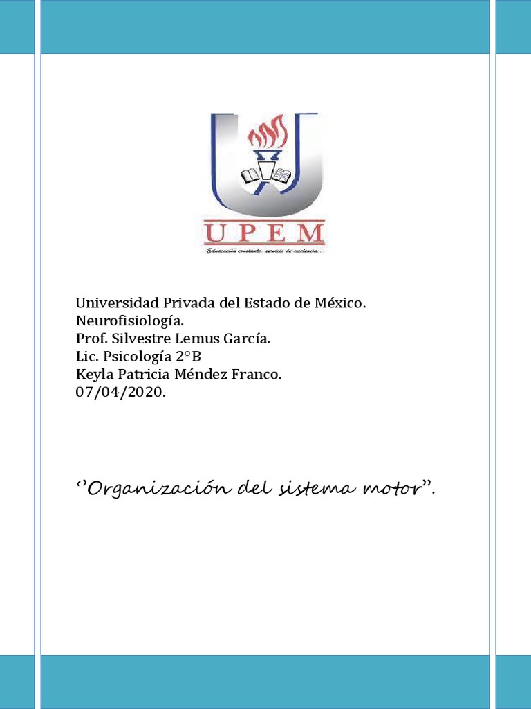 Organizacion Del Sistema Motor | PDF | Corteza cerebral | Cerebro