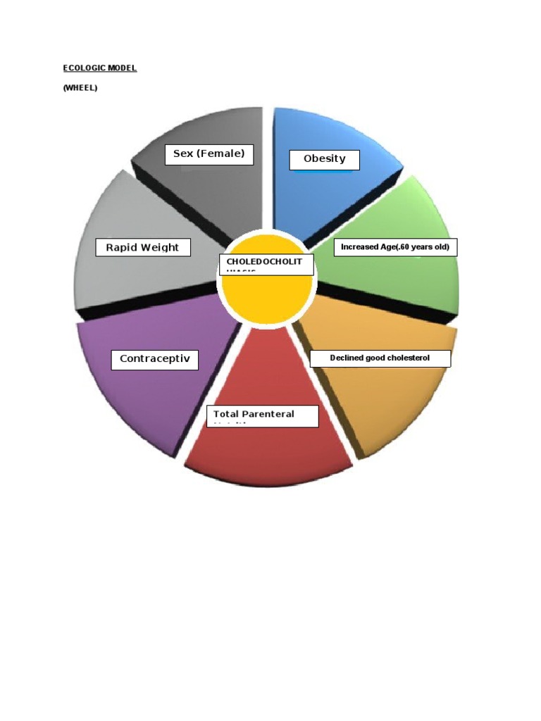 ECOLOGIC MODEL - Choledocholithiasis | PDF | Hormone Replacement ...