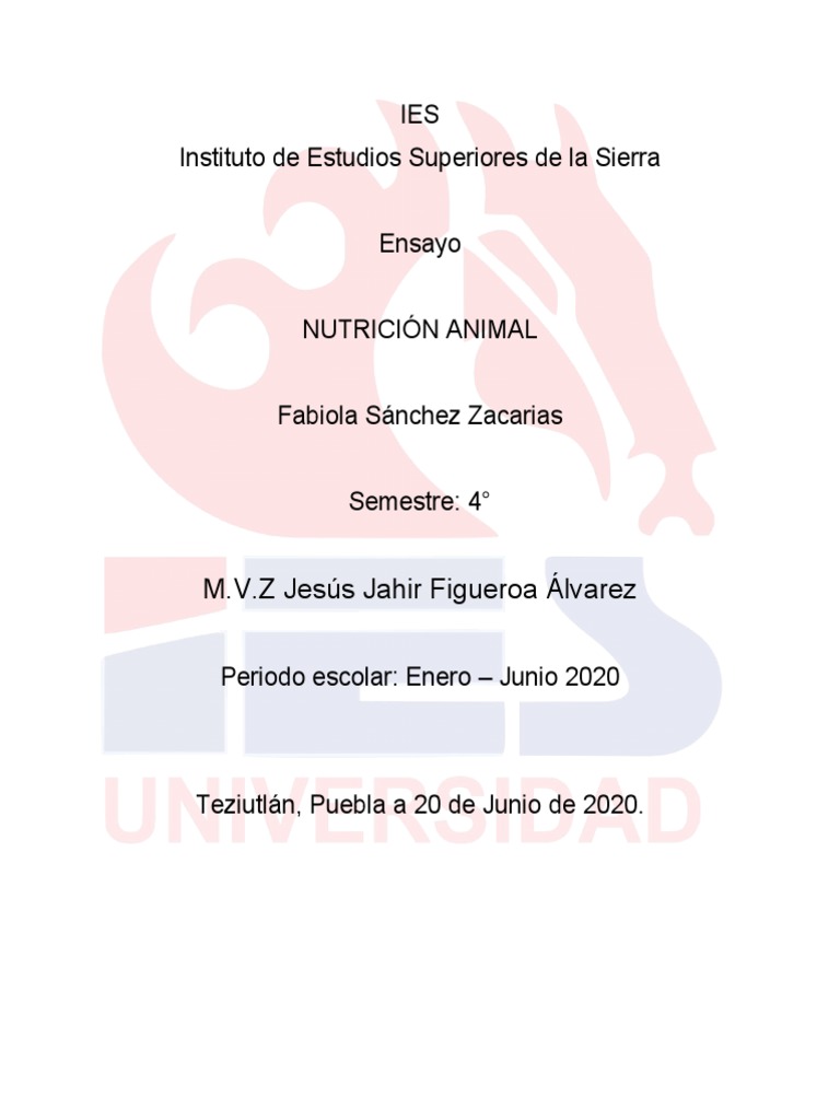 Ensayo. Nutricion Animal Fabiola Sánchez | PDF | Digestión | Sistema ...