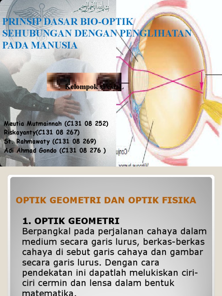 Prinsip Dasar Biooptik | PDF