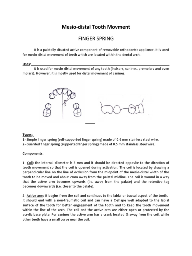 Mesio-Distal Tooth Movment: Finger Spring | PDF | Tooth | Animal Anatomy