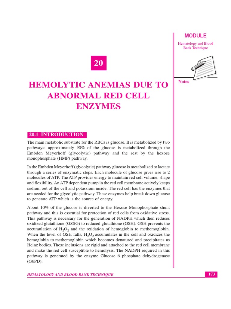 Hemolytic Anemias Due To Abnormal Red Cell Enzymes | PDF | Anemia ...