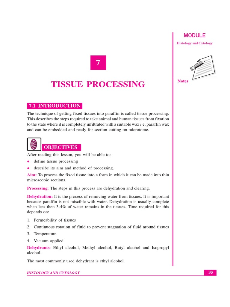 A Comprehensive Guide to Tissue Processing: The Key Steps and ...