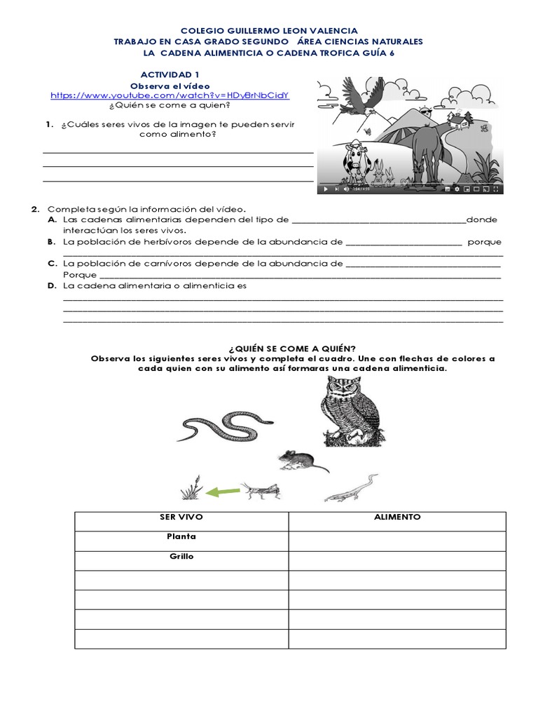 Guia 6 La Cadena Alimenticia | PDF