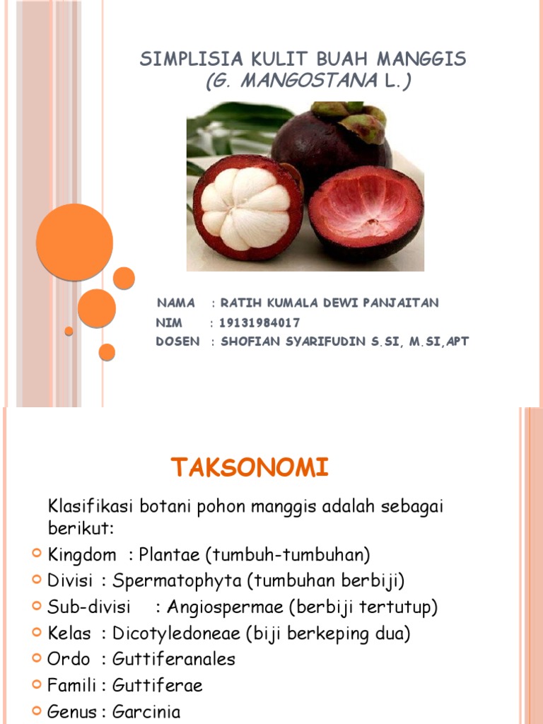 Simplisia Kulit Buah Manggis | PDF