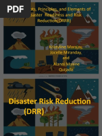 Understanding Disaster and Risk Concepts | PDF | Hazards | Risk