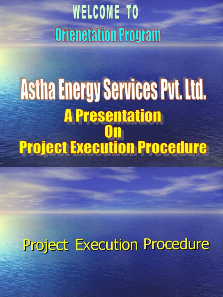 Project Execution Procedure | PDF | Project Management | Business
