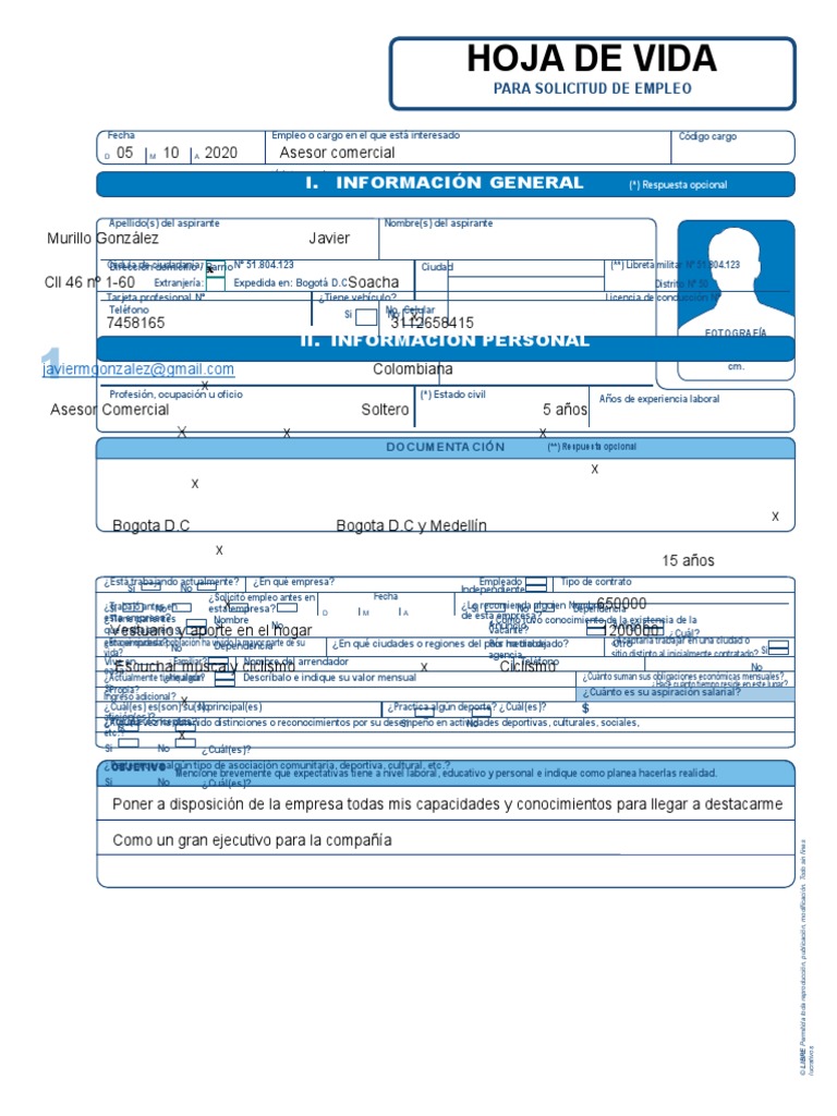 Formato Hoja de Vida Minerva | PDF | Economias | Business