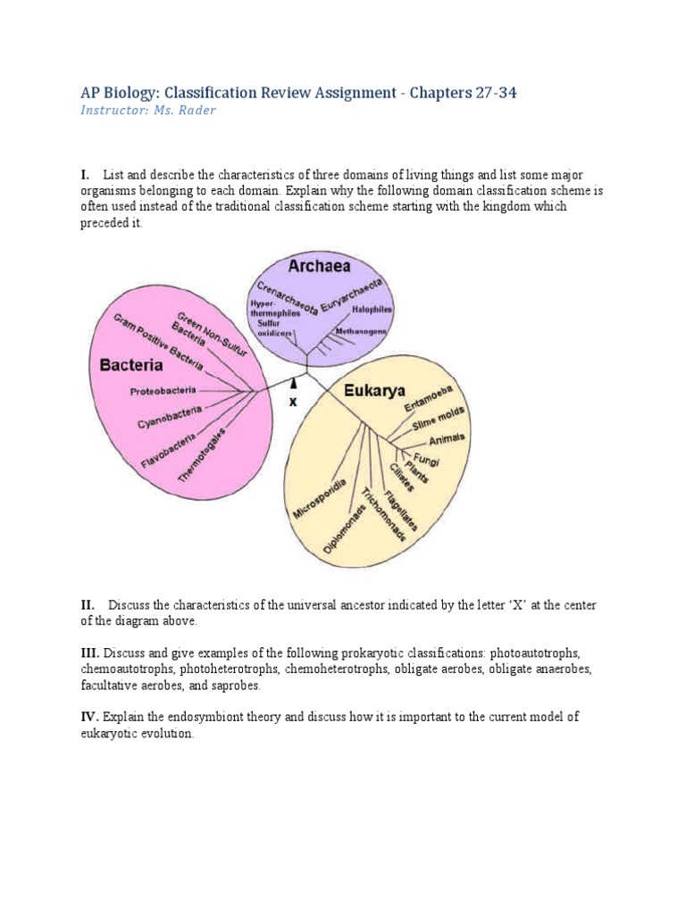 AP Biology Classification Project 2010 | PDF | Taxa | Biology