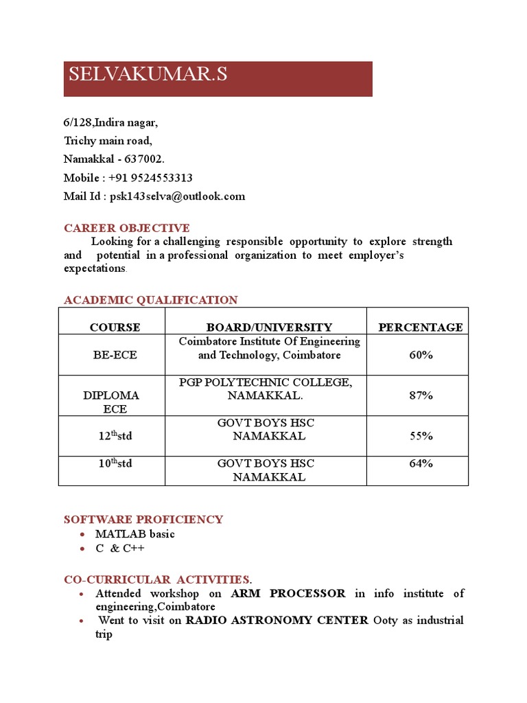 Selvakumar.S: Career Objective | PDF
