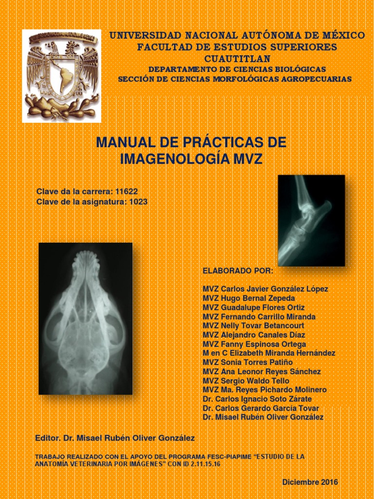 Manual-Practicas Imagenologia | PDF | Rayo X | Radiografía