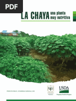 Beneficios y Cultivo de la Chaya | PDF | Aminoácidos | Alimentos