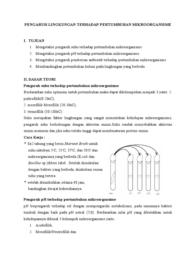 Pengaruh Lingkungan Terhadap Pertumbuhan Mikroorganisme | PDF