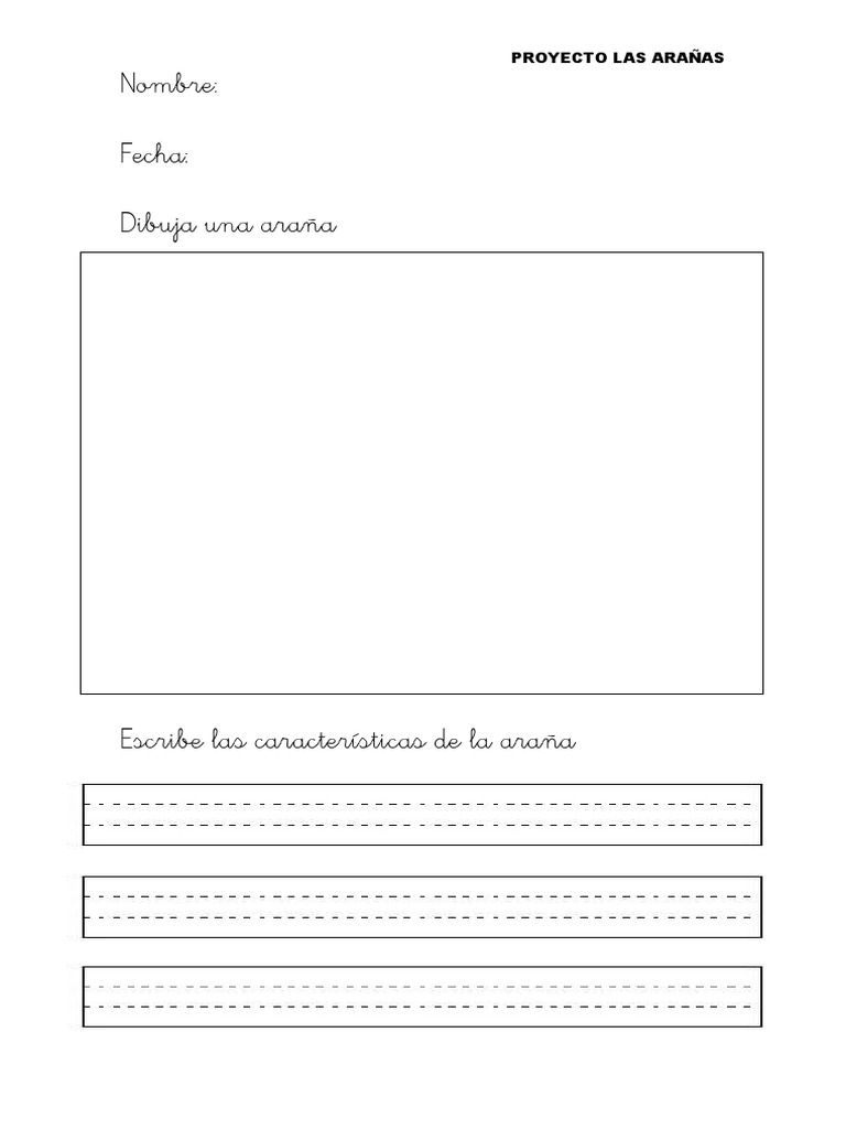 Proyecto Las Arañas | PDF | Araña | Artrópodos