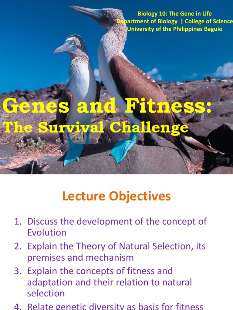 Biology 10 - Evolution | PDF | Natural Selection | Evolution