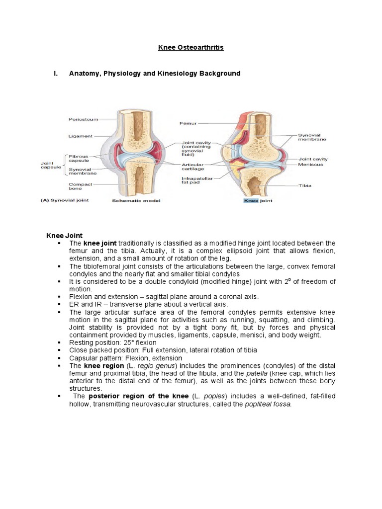 Knee Osteoarthritis Pdf Knee Skeletal System