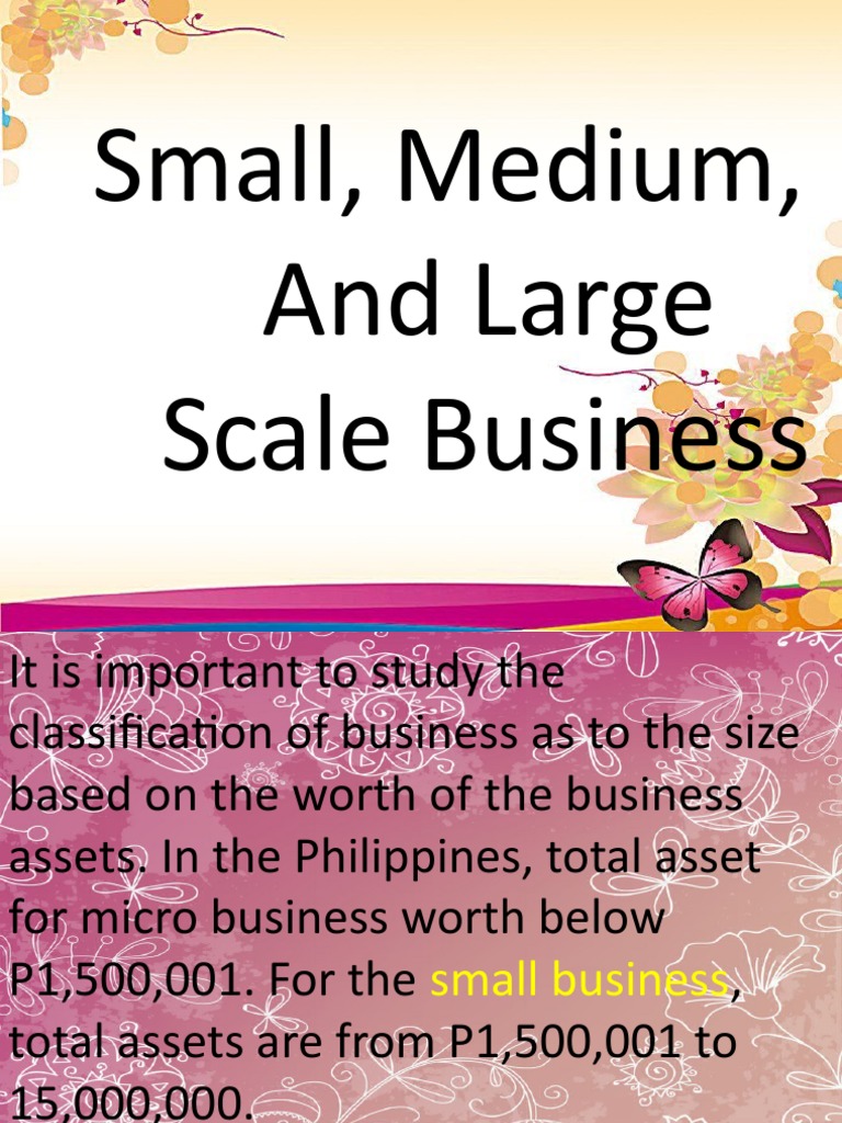 2 Small, Medium, and Large Business | PDF