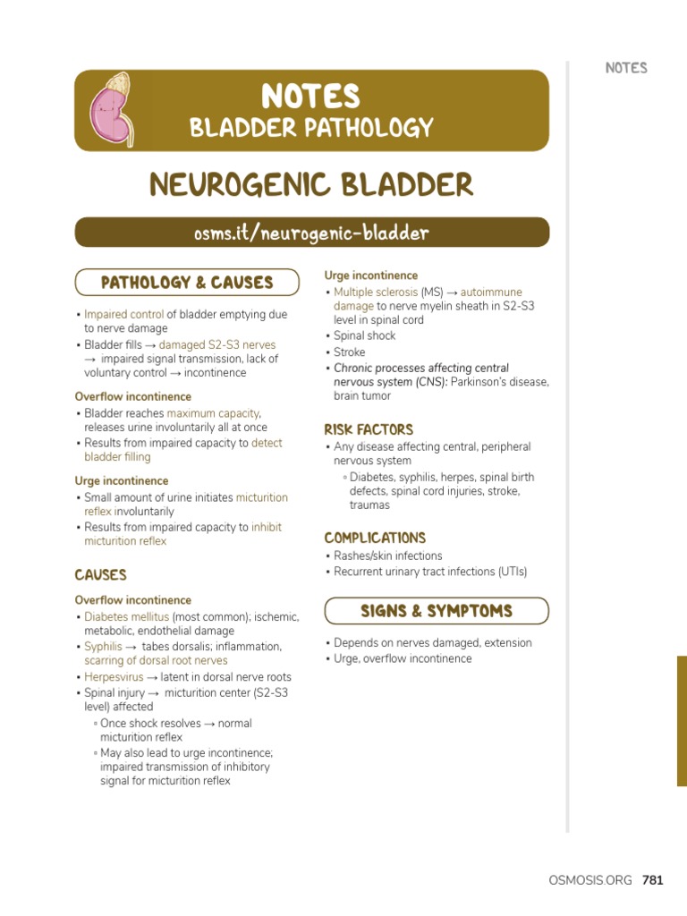 Bladder Pathology | PDF | Urinary Incontinence | Urination