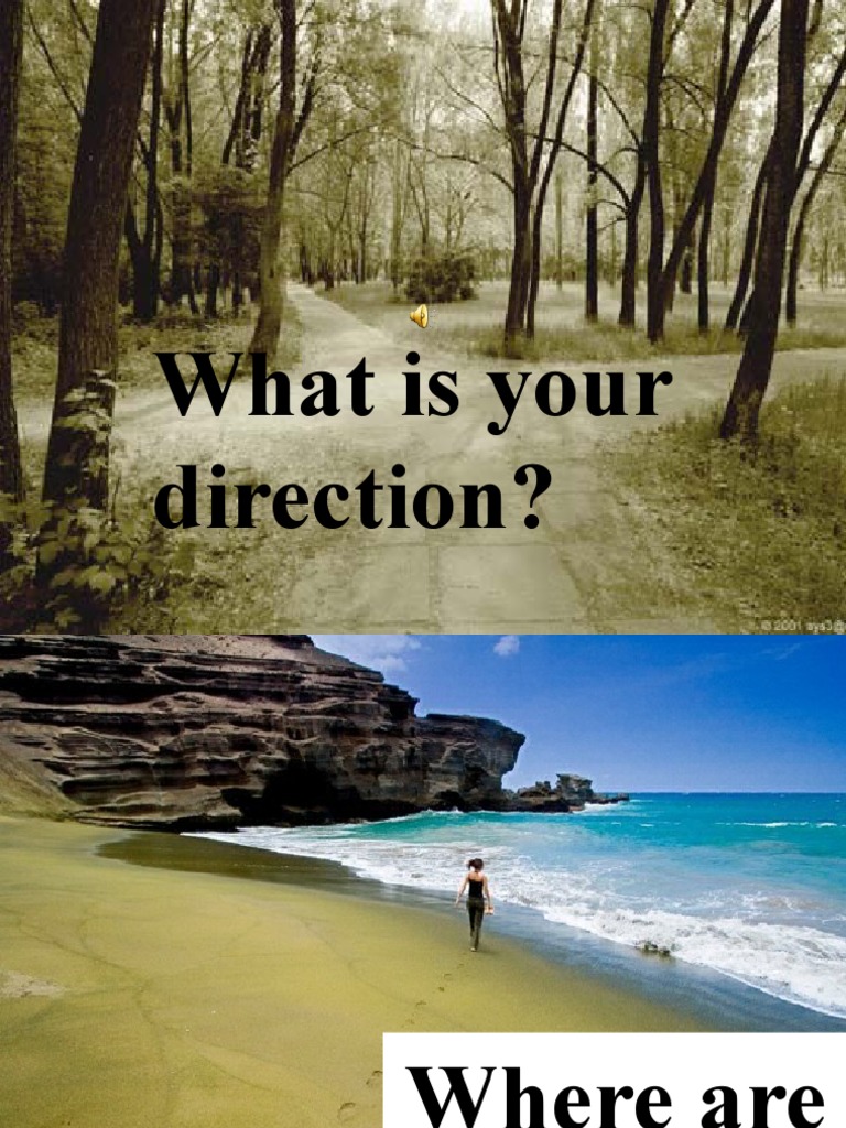 Vocation in Life | PDF | Jesus | Religious Behaviour And Experience