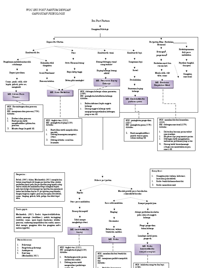 WOC Ibu Post Partum | PDF