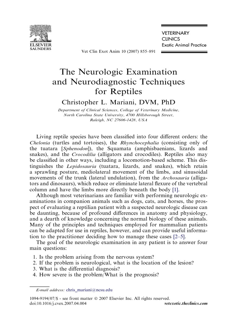 Examen Fisico General en Reptiles | PDF | Spinal Cord | Cerebrospinal Fluid