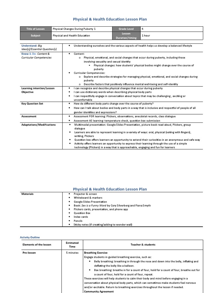 Phe Puberty Physicalchanges1 | PDF | Lesson Plan | Curriculum