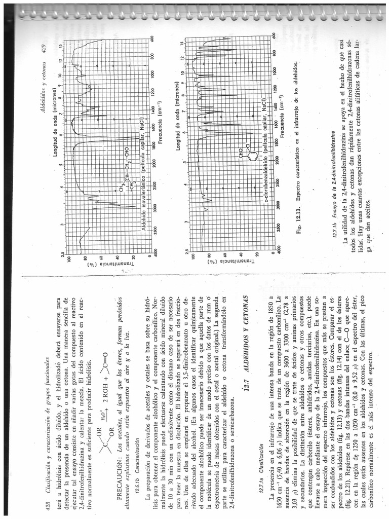 Pasto - Johnson - Cap 12 - Parte 4 | PDF