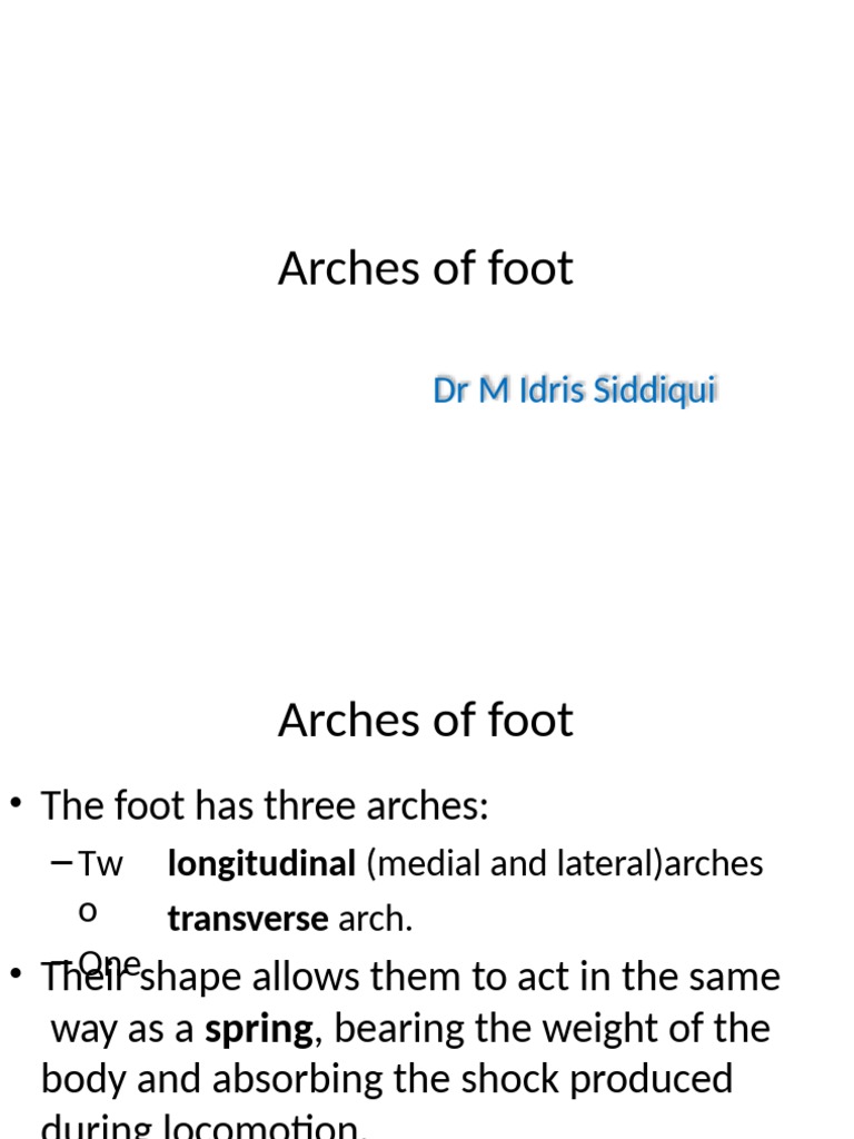 Arches of Foot: DR M Idris Siddiqui | PDF | Foot | Limbs (Anatomy)