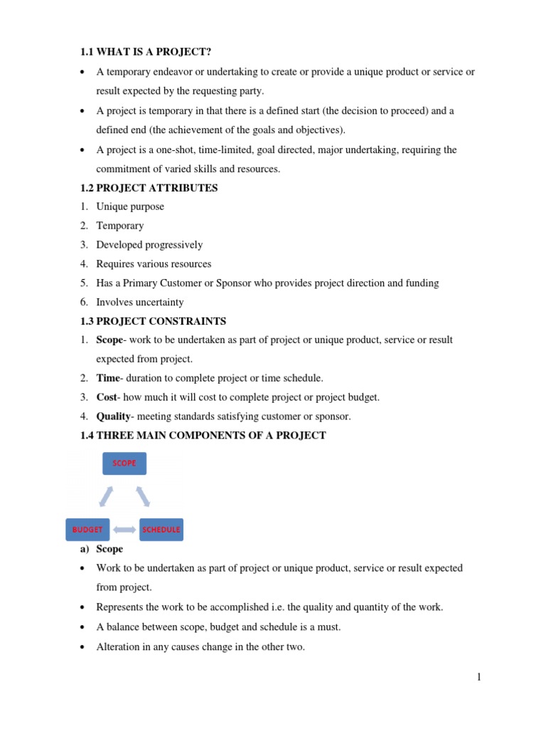 Project Management Summary | PDF | Project Management | Business