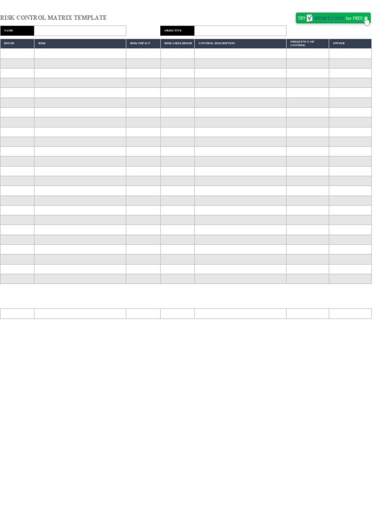IC Risk Control Matrix Template 8849 | PDF