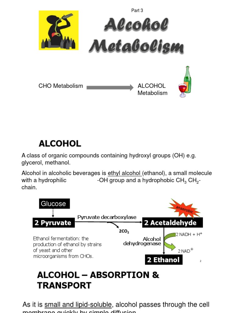 PBPN - Topic3 - Alcohol Metabolism - April2019 - Stu | PDF | Lactic ...