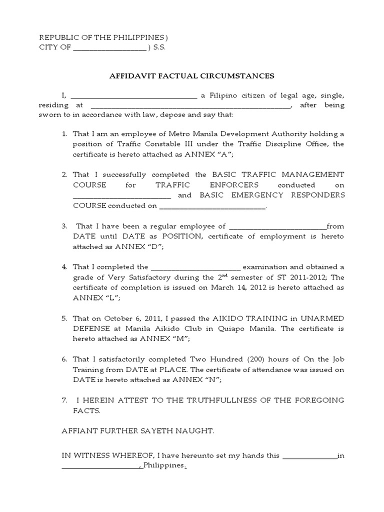Affidavit Factual Circumstances - SAMPLE | PDF