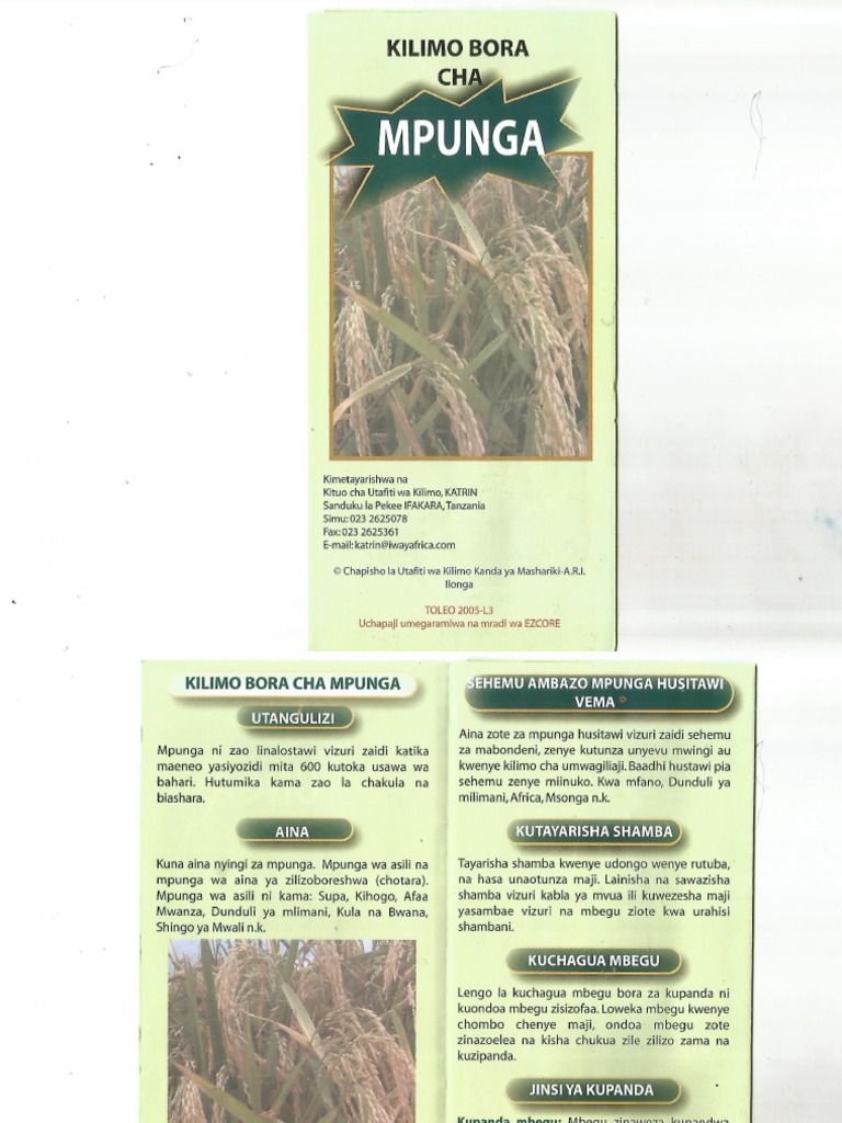 Kilimo Bora Cha Mpunga PDF | PDF
