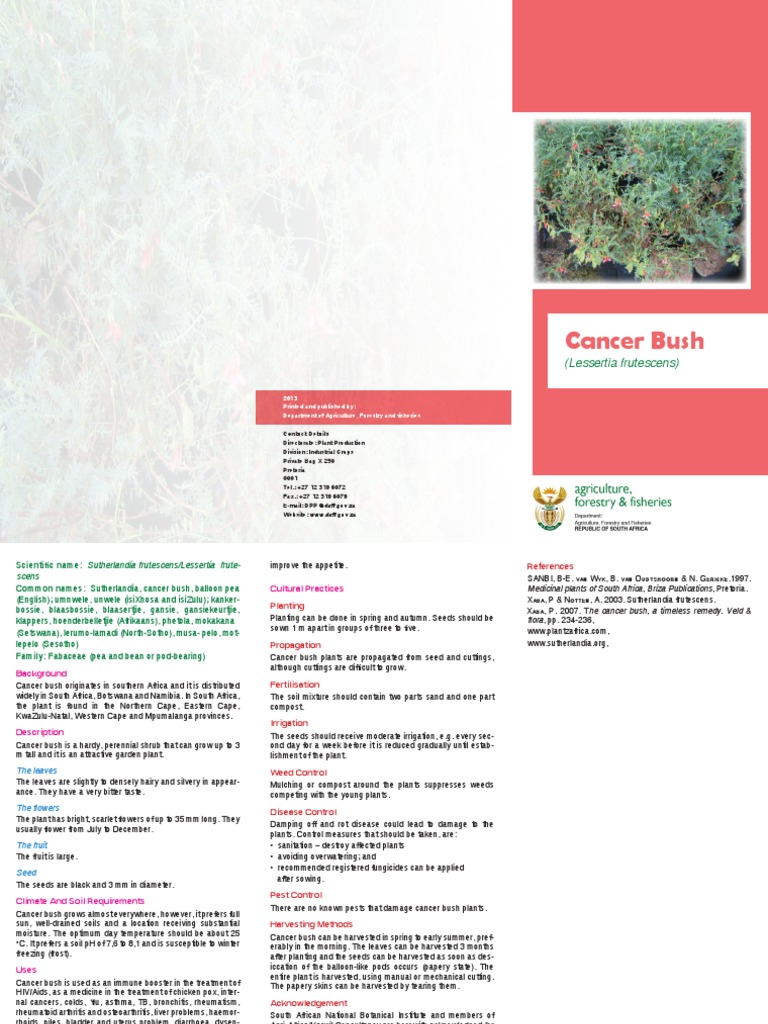 Brochure Cancer Bush PDF | PDF | Mulch | Landscape