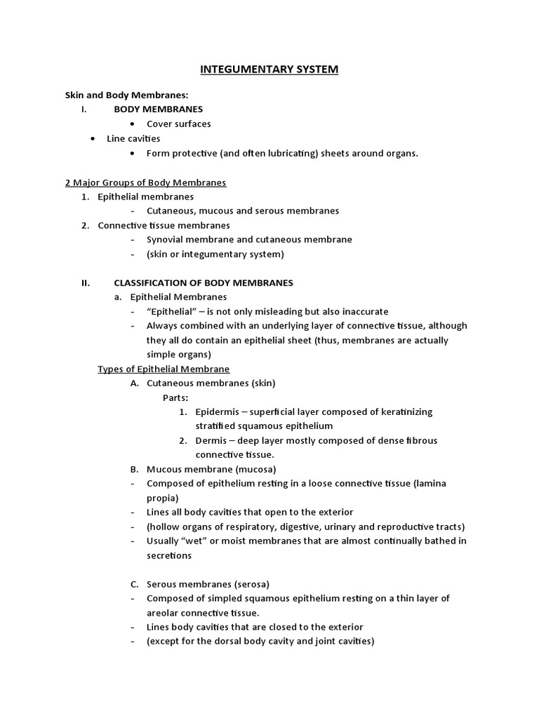 Integumentary System: Skin and Body Membranes: Body Membranes | PDF ...