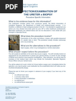 Meatotomy/meatoplasty: Procedure-Specific Information | PDF | Urology ...