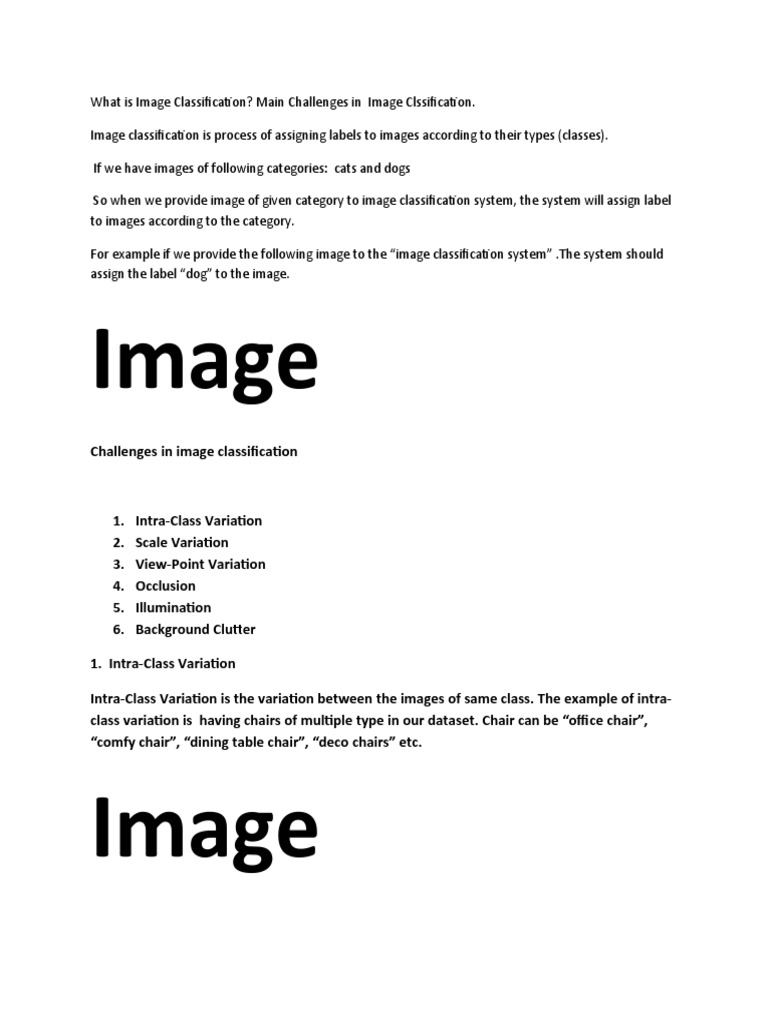 Challenges in Image Classification | PDF | Computer Vision | Lighting