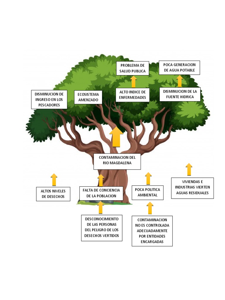 Arbol de Problemas | PDF