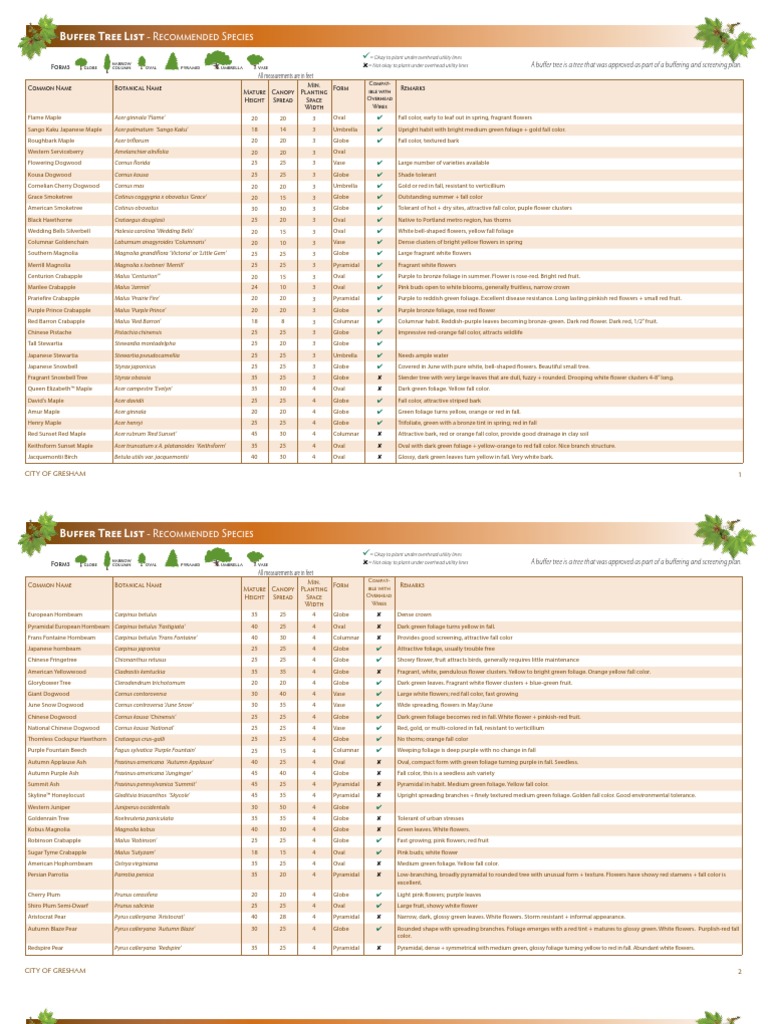 Buffer Tree List | PDF | Maple | Beech