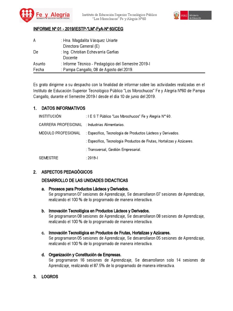 Informe #01 - Tecnico Pedagogico Agosto - 2019-I | PDF | Productos ...
