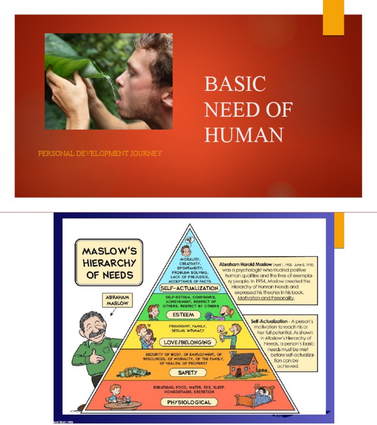 Basic Need of Human: Personal Development Journey | PDF