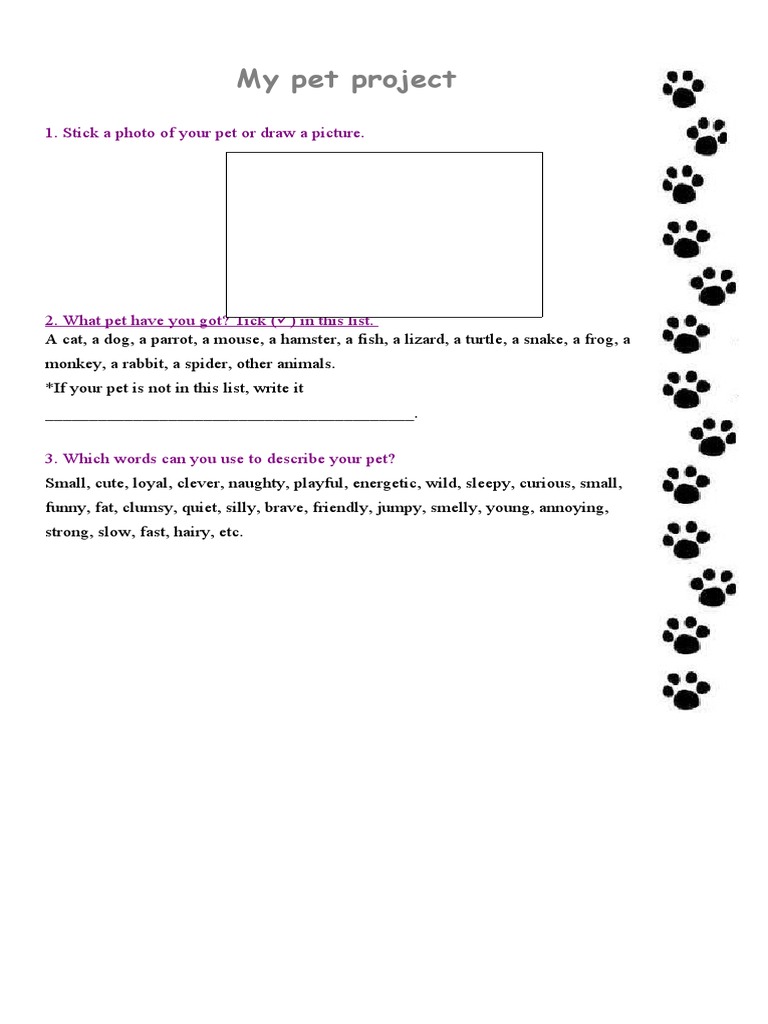 My Pet Project: 1. Stick A Photo of Your Pet or Draw A Picture | PDF