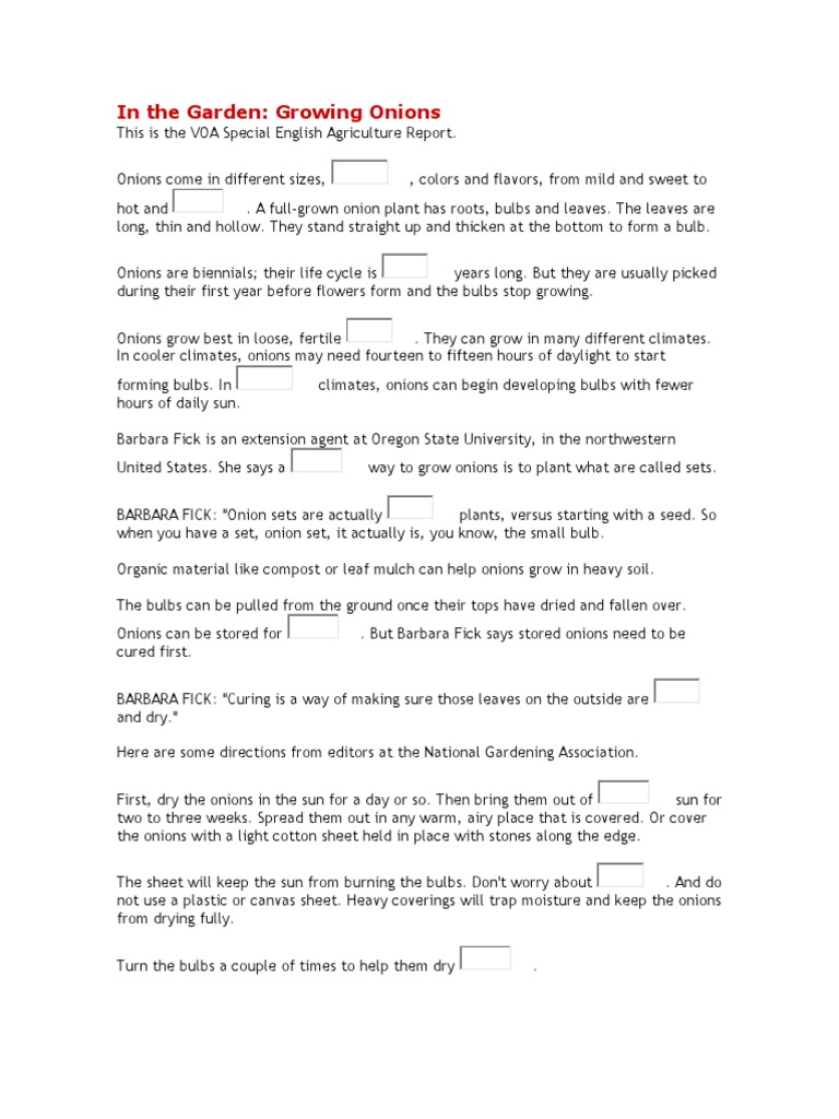 In The Garden | PDF | Bulb | Onion