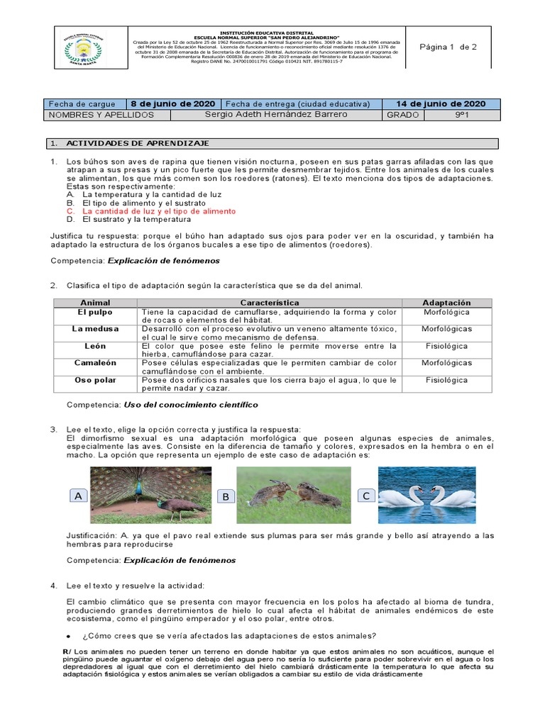 Naturales 4 Sergio | PDF | Aves | Oso polar
