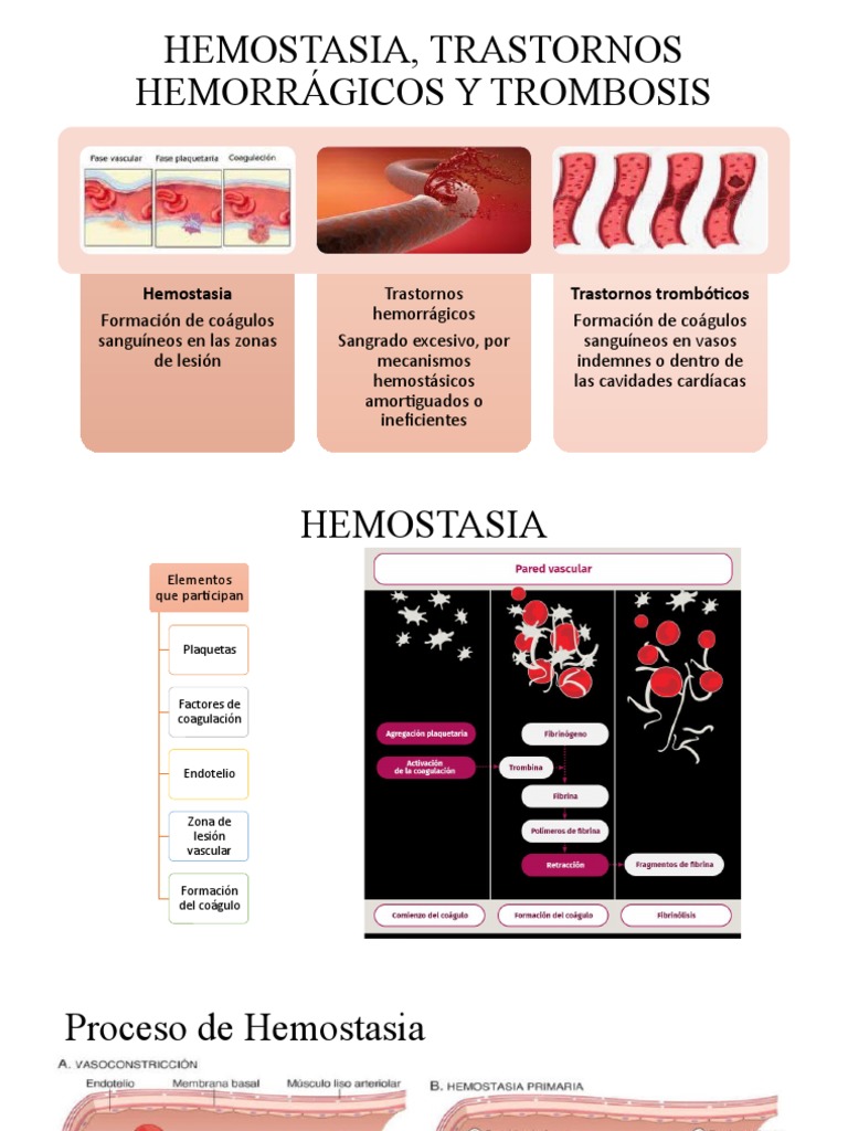 Hemostasia, Trastornos Hemorrágicos y Trombosis | PDF