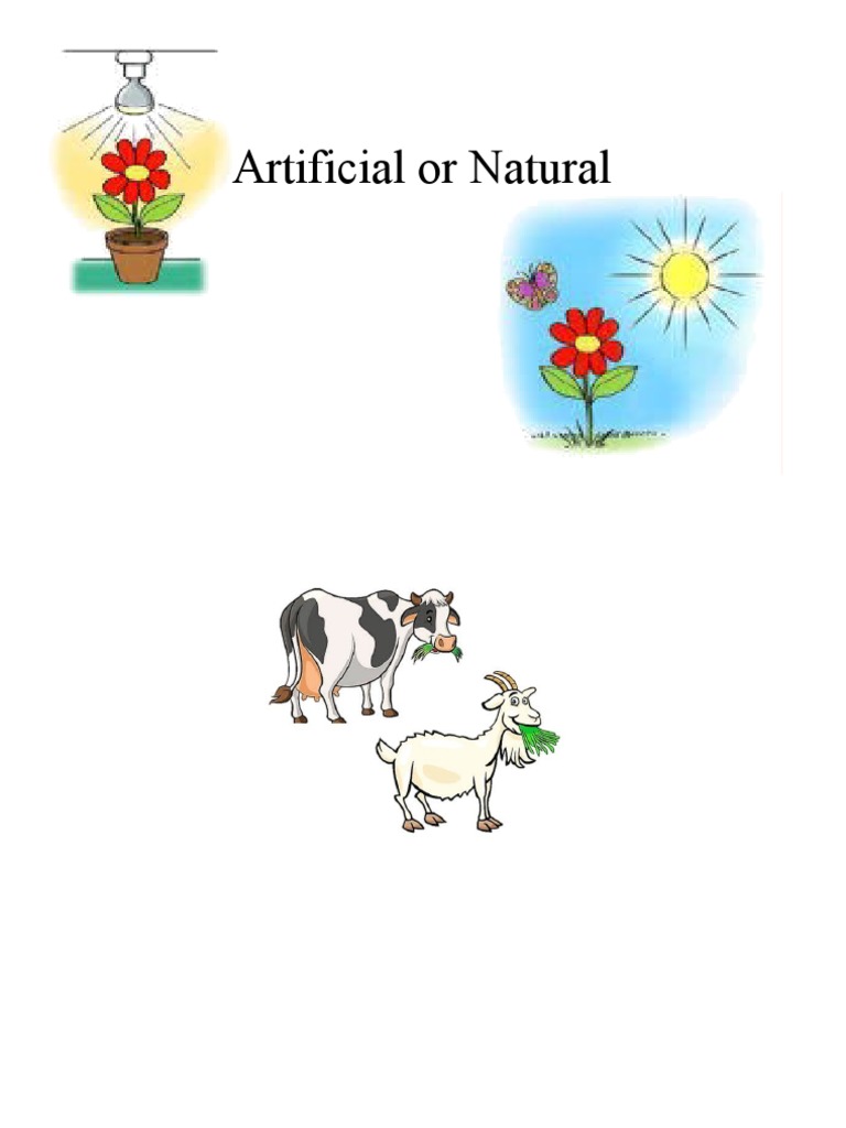 Natural vs. Artificial Resources Guide | PDF