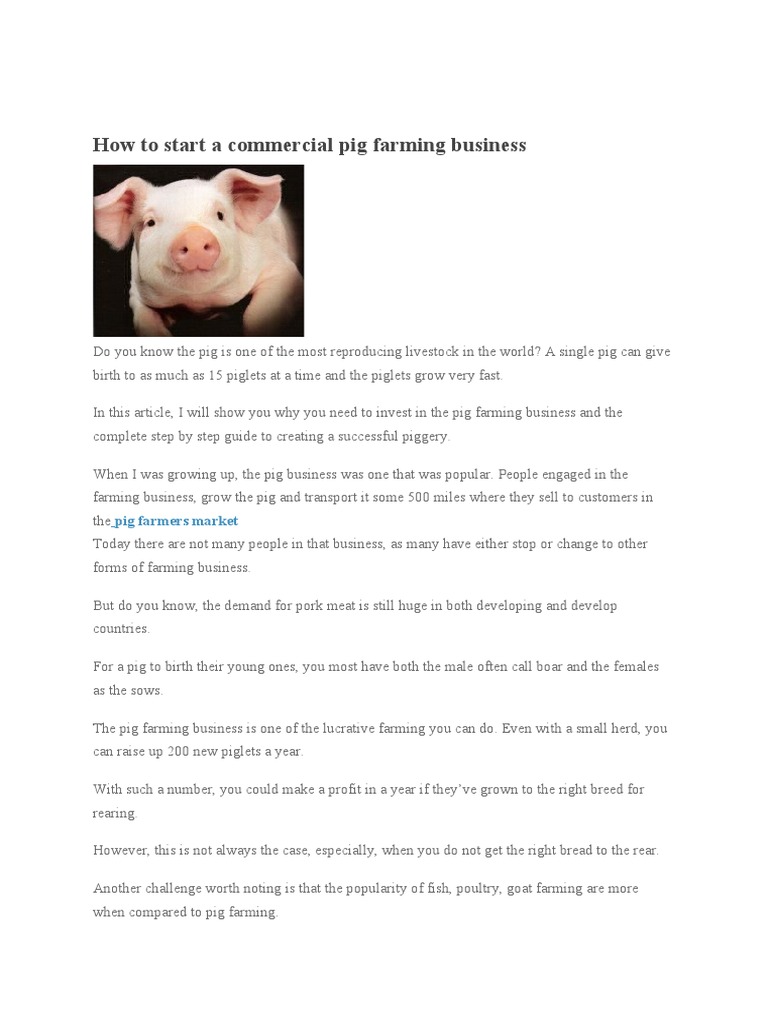 Commercial Pig Farming | PDF | Domestic Pig | Agriculture