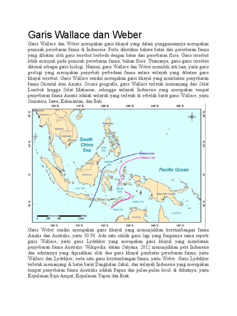 Garis Wallace Weber | PDF