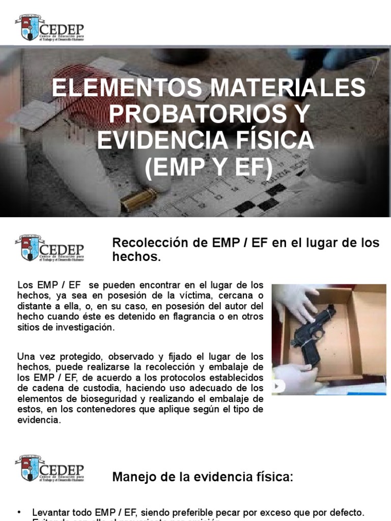 Elementos Materiales Probatorios y Evidencia Fisica | PDF | Thriller y ...