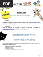 Ficha Tecnica Avaunt EC | PDF | Plaga (organismo) | Insecticida